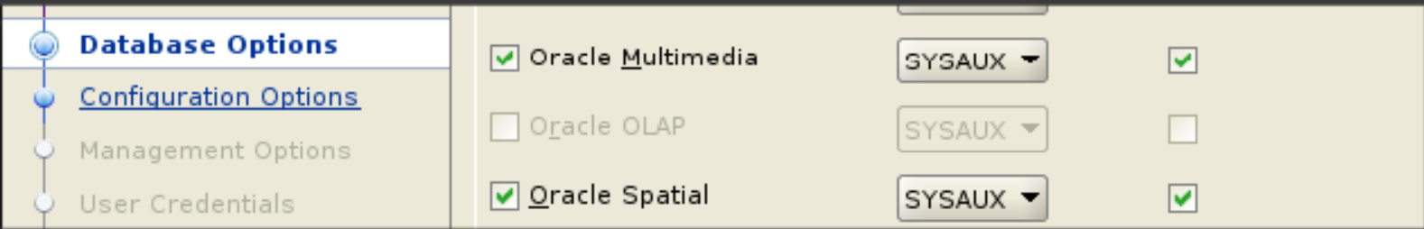 How To Install Oracle Database Options Like Spatial Label Security Etc After Db Creation Keep